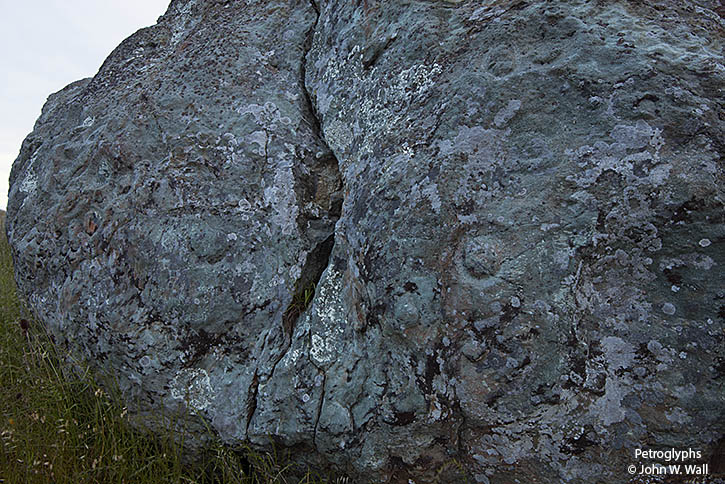 True Nature Stories: Ring Mountain