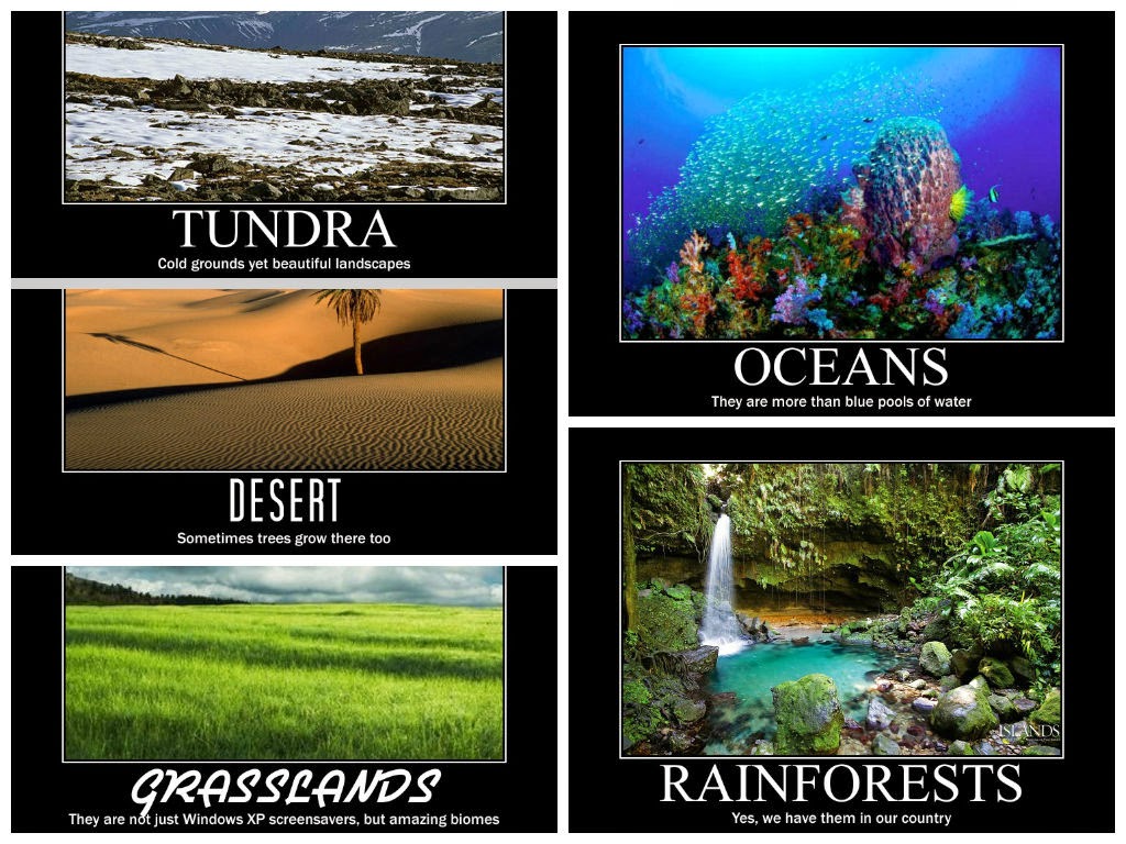 Biomes of the World: Collage