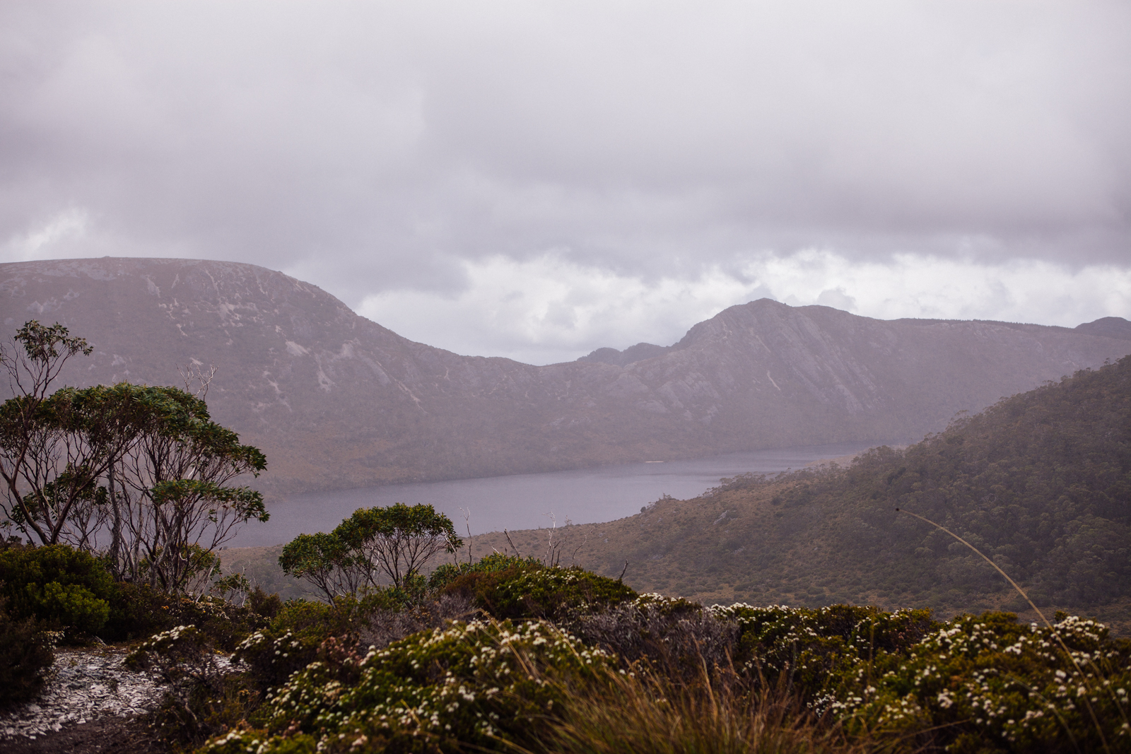 Blog - Camille Nathania: Tasmania: Wombat Pool & Marion's Lookout ...