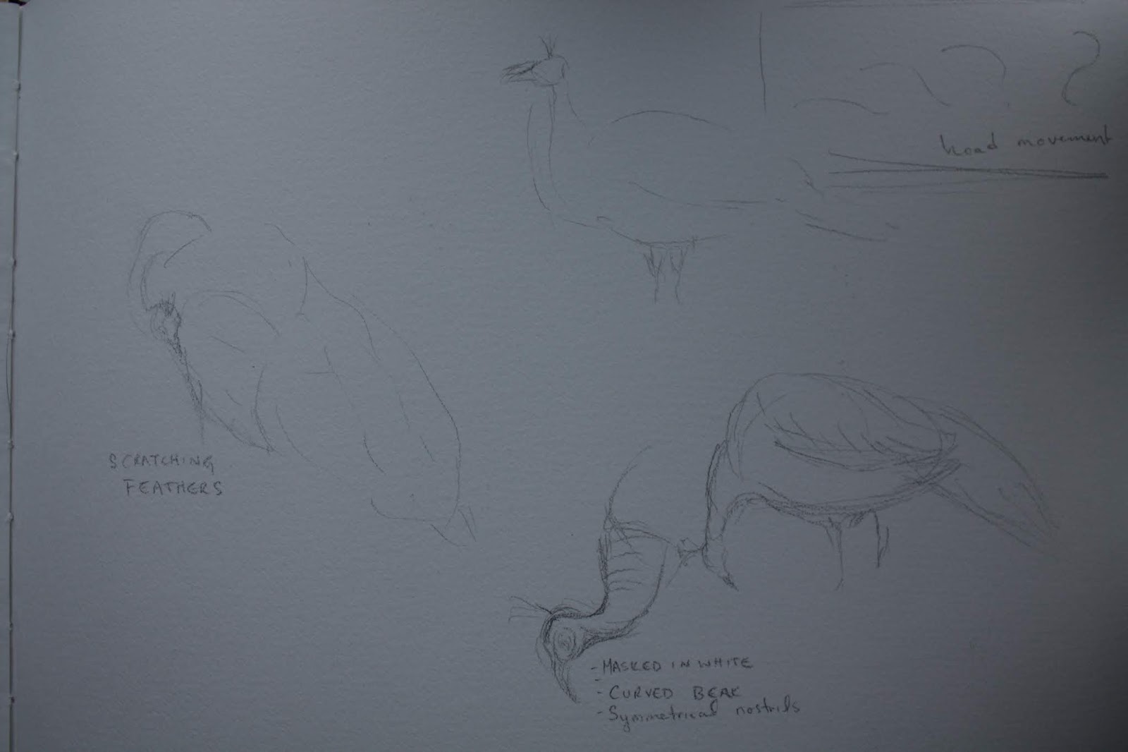 How to Create a Field Sketchbook