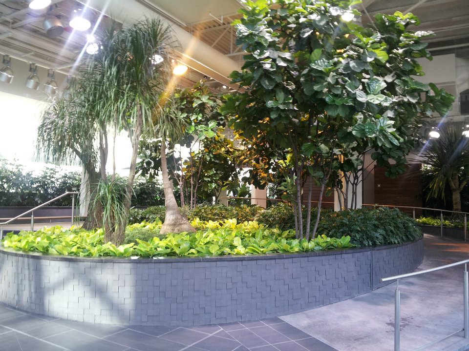 Plant Zone: Devonian Gardens Calgary