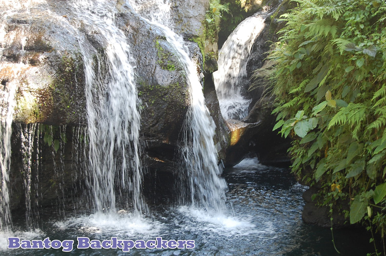 Amadeo, Cavite : Coffee Capital of the Philippines | Bantog Backpackers