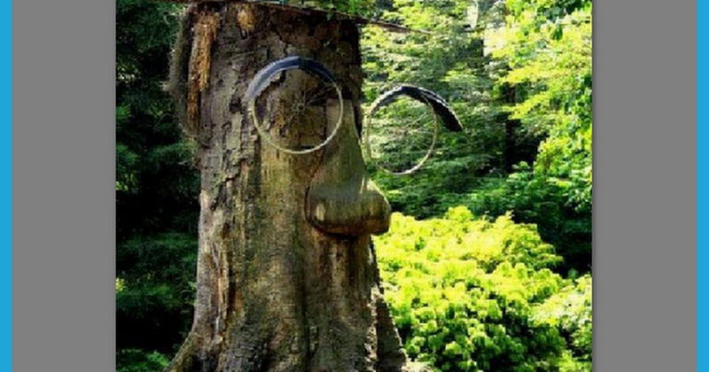 DIY And Household Tips: Turn A Dead Tree Into A Tree Stump Dude