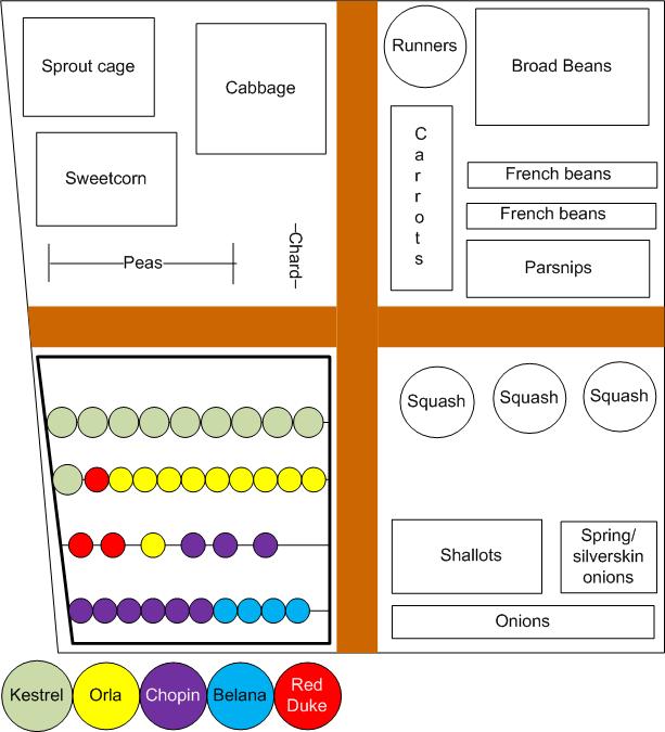 Plot 7 Marsh Lane - Our Hungerford Allotment Blog: Crop Rotation Plan