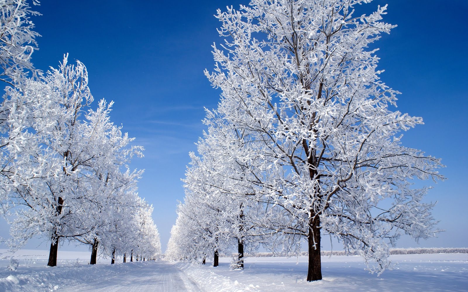 frozen road hd widescreen scenery |Photo Images