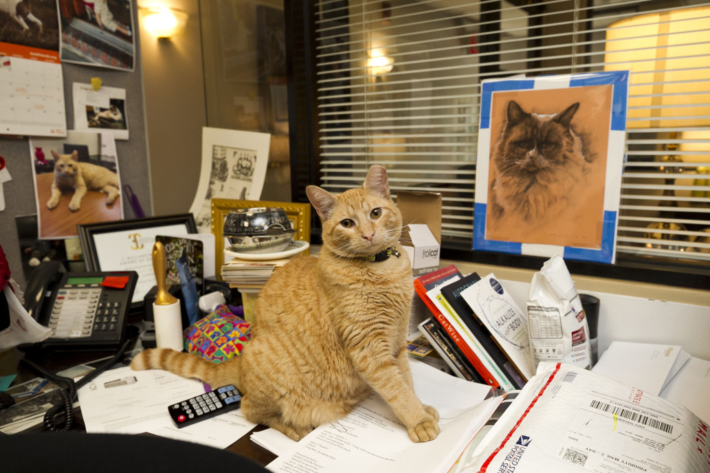 kenneth in the (212): Hamlet Takes Up Residence in the Algonquin Hotel