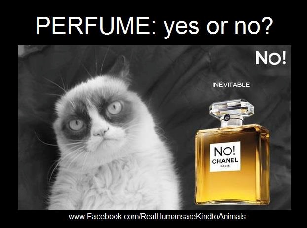 Real Humans are Kind to Animals: Perfume: Yes or No?