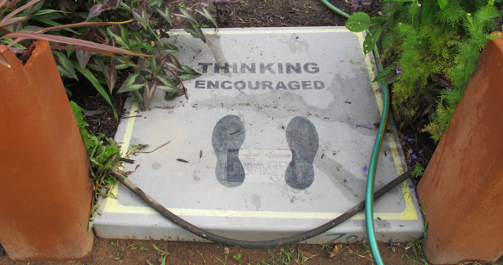 A Mello Fellow's Garden in West Asheville
