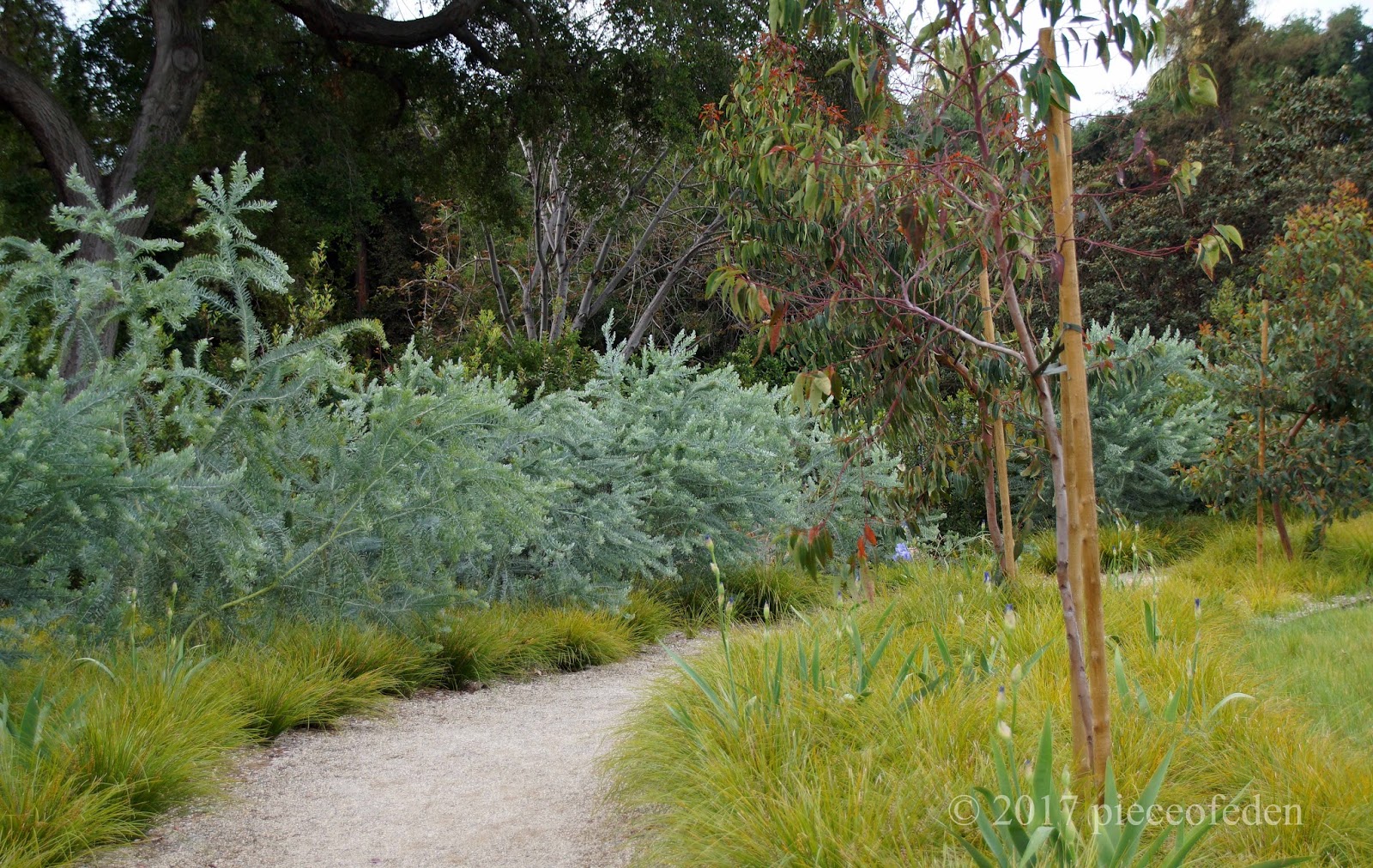 The Other New Entrance Garden At The Huntington
