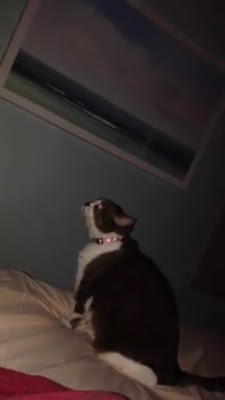 Life is a Bumpy Journey and I'm Hanging On For the Ride!