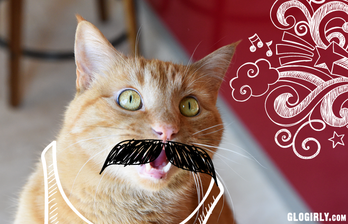 GLOGIRLY: Don't Stop MEOW - Waffles Channels His Inner Freddie Mercury ...