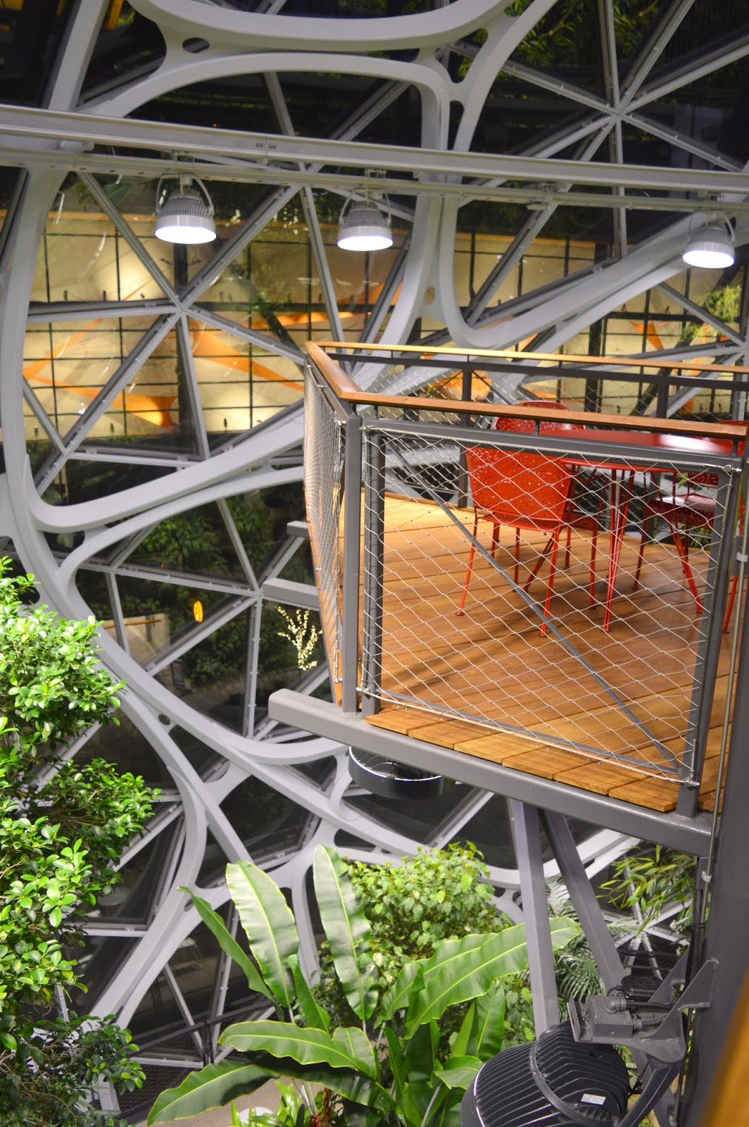 A Tour Of The Amazon Spheres in Downtown Seattle