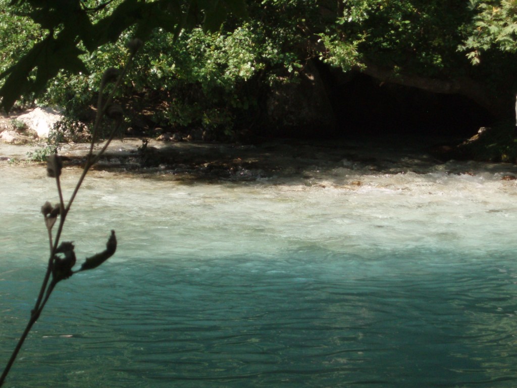 Vuela una lechuza: Fiestón en el Aqueronte...