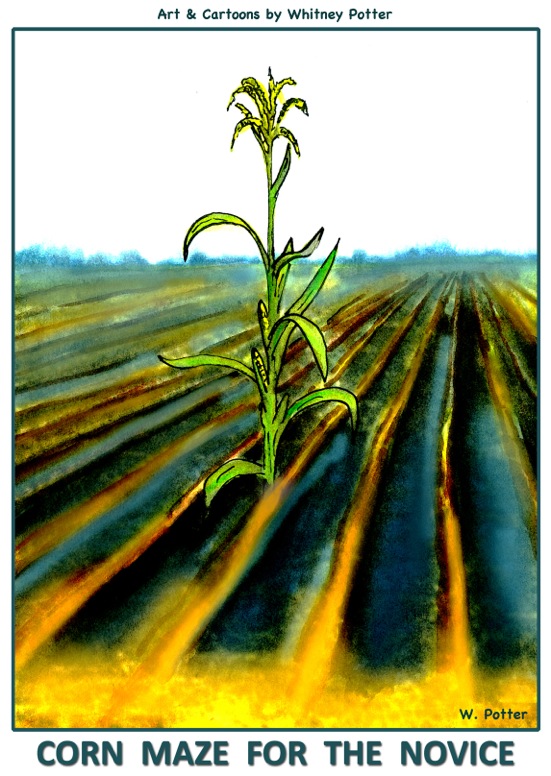 Shoreline Area News: Cartoon by Whitney Potter: Corn Maze (or Maize Maze)
