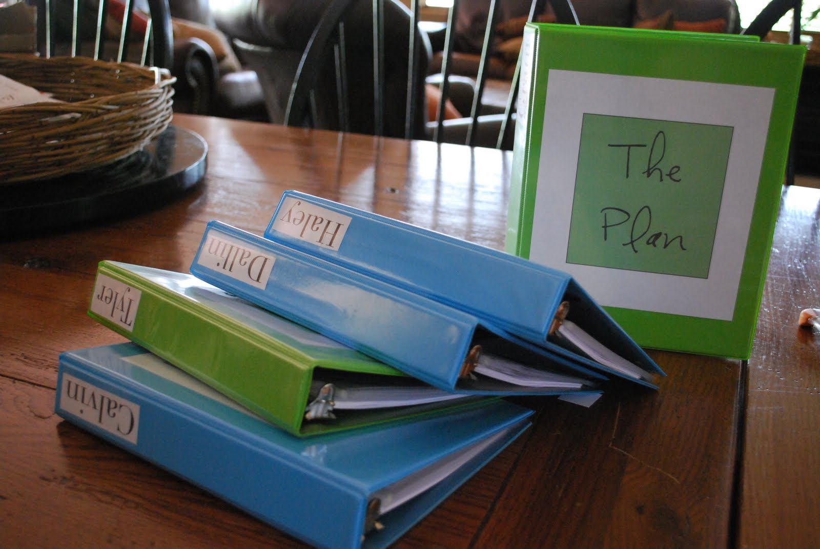 What It's All About: The Plan