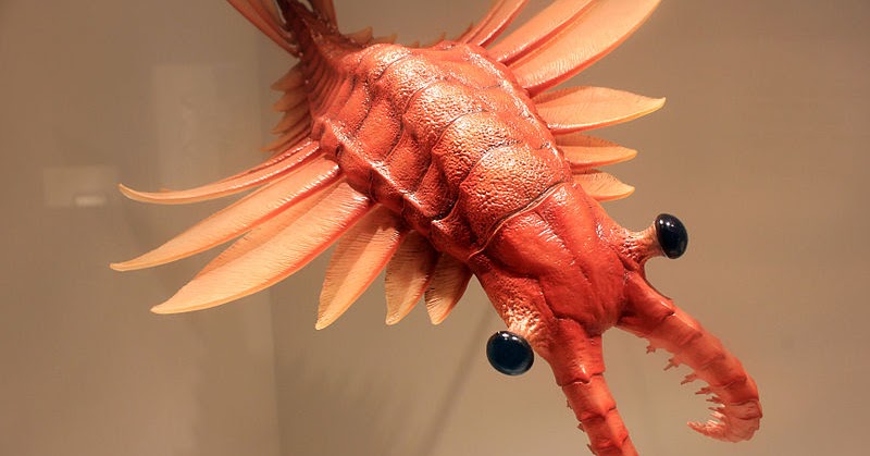 d20 Despot: Monster Monday: Anomalocaris, Top Predator of the Cambrian Seas