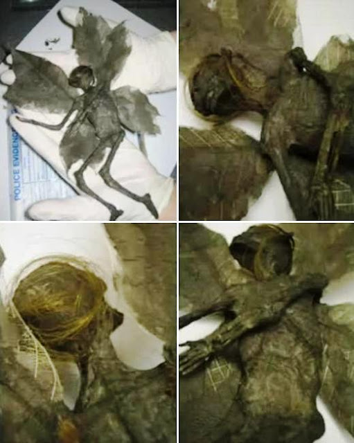 Flying and Underwater Humanoids