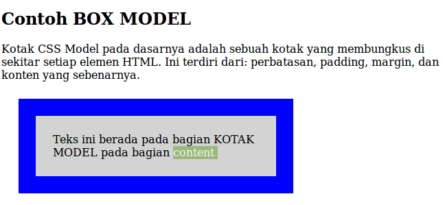 CSS-Mengenal Margin,Padding dan Model Kotak - Risanurhaeni