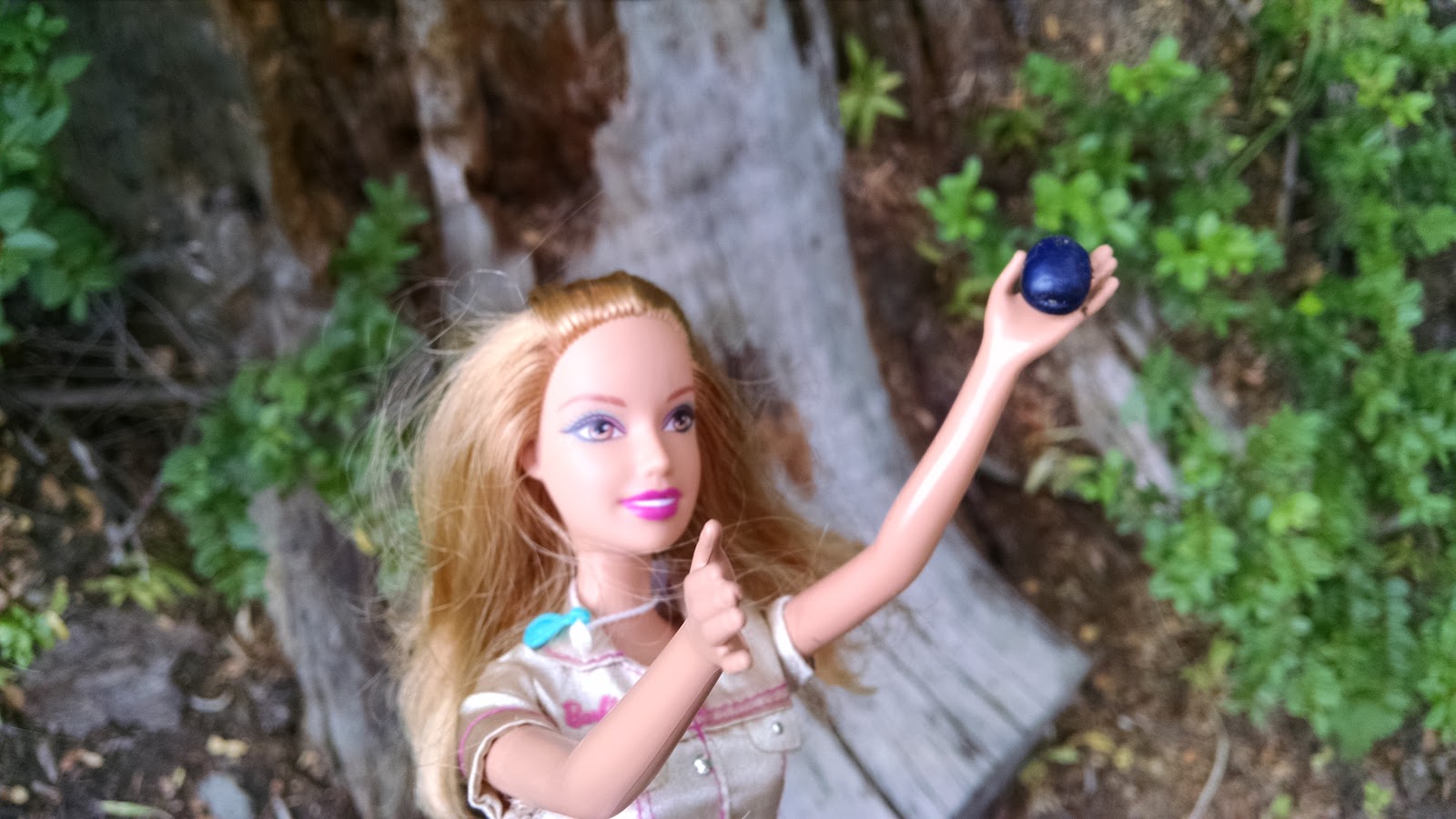 Silver Valley Stories: Physical Challenge 2014--Experiencing "Flow ...