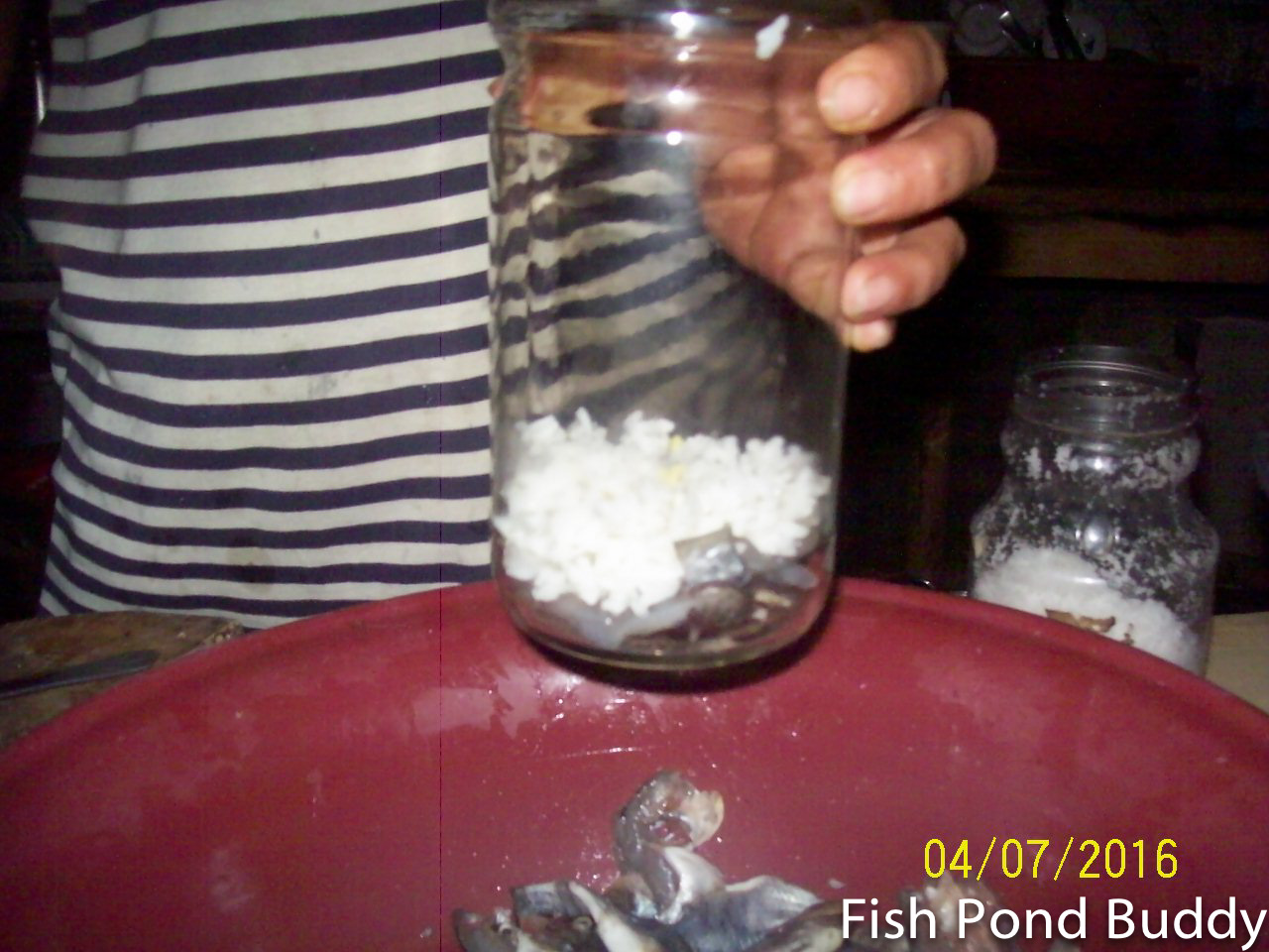 Fish Pond Buddy: How to Make Fermented Rice-Fish Mix ("Buro") at the ...