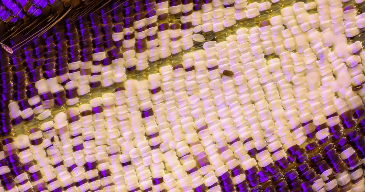 Oh, by the way...: BEAUTY: Photography--Chris Perani