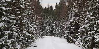 GLOBAL AWARENESS 101 - Let your VOICE be heard and get involved. OUR ...