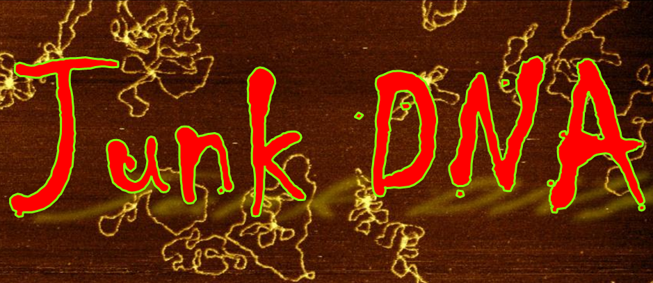 Junk DNA