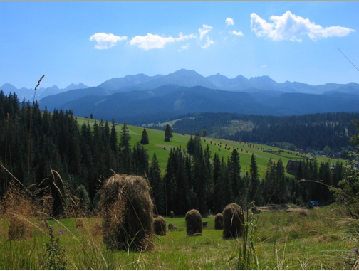 Historia Polski: Podhale