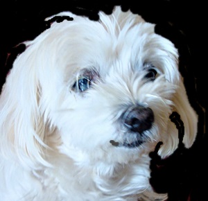 APRENDER A PROGRAMAR CON PYTHON: CLASES III