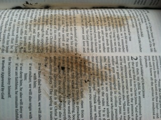 Amazing Grace, How Sweet the Sound: The Waterproof Bible