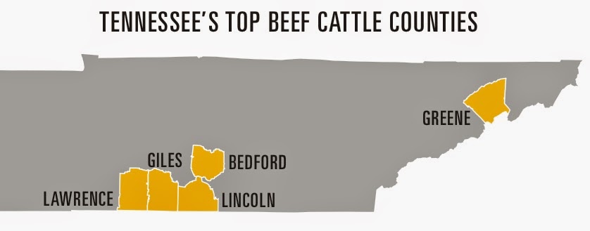UT Block and Bridle Club: #FarmFactFriday