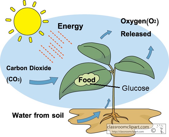 SCIENCE (FORM 2): Chapter 4