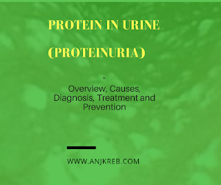 Protein in Urine (Proteinuria): Overview, Causes, Symptoms, and ...