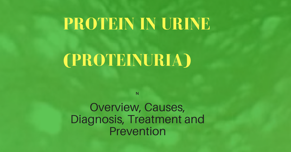 Protein in Urine (Proteinuria): Overview, Causes, Symptoms, and ...