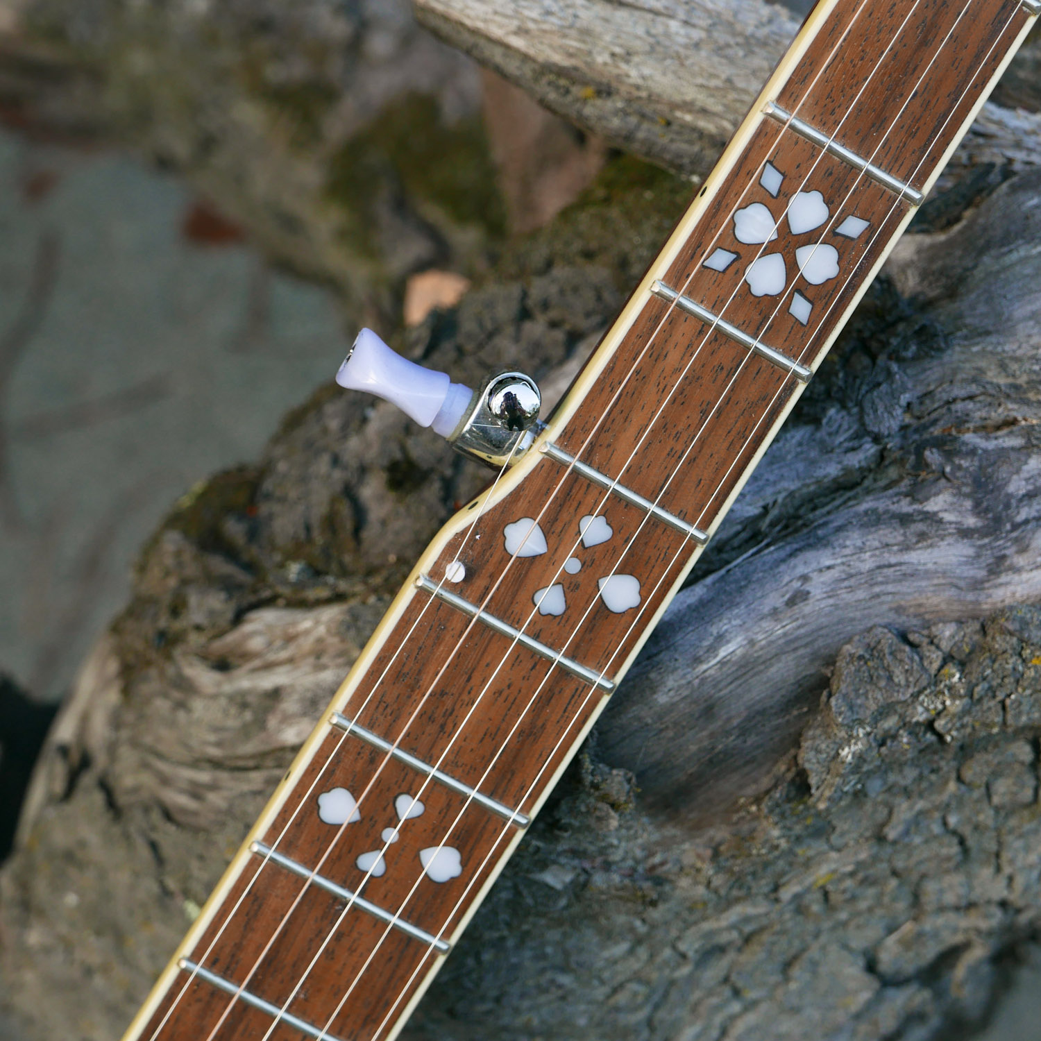 2003 Fender FB-54 Resonator 5-String Banjo