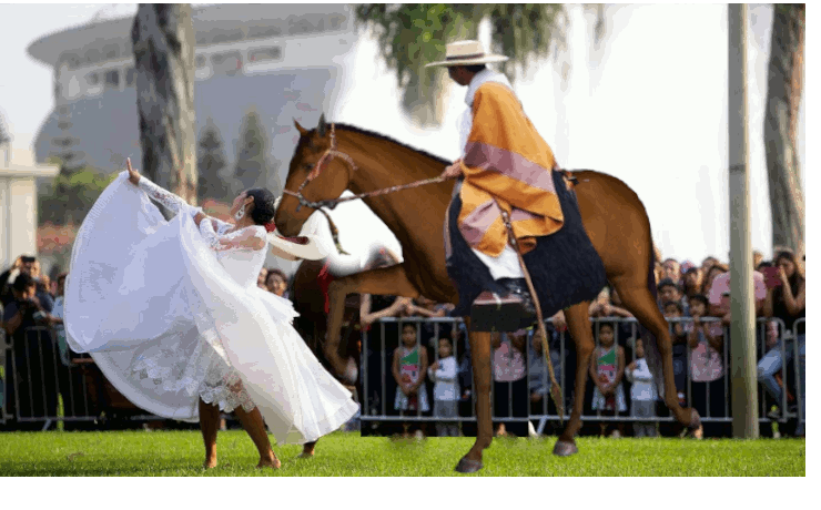 ChiquitoyMUNDOanimado: TRUJILLO-GIFS