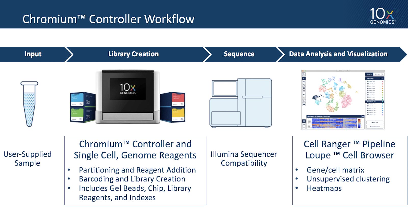 くろみうんの冒険 - 主にシングルセルについての個人のブログ: Chromiumはどんな細胞サイズも多分 OK