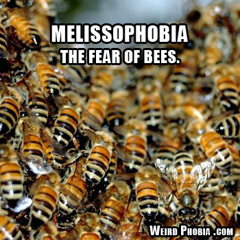 Collections: Phobias