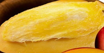 MANGO TREES: Starch in mango kernel