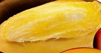 MANGO TREES: Starch in mango kernel