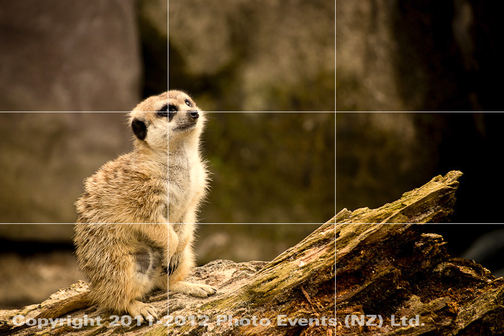 Rule of Thirds (a.k.a. The Power of Thirds)