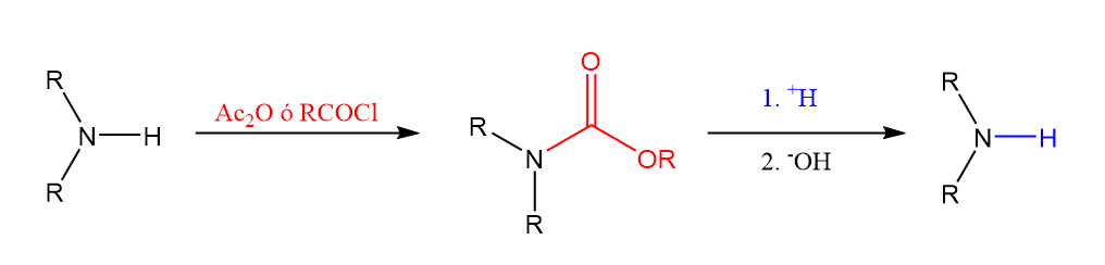 Proteccion de aminas mediante la formación de amidas ~ Química Orgánica ...
