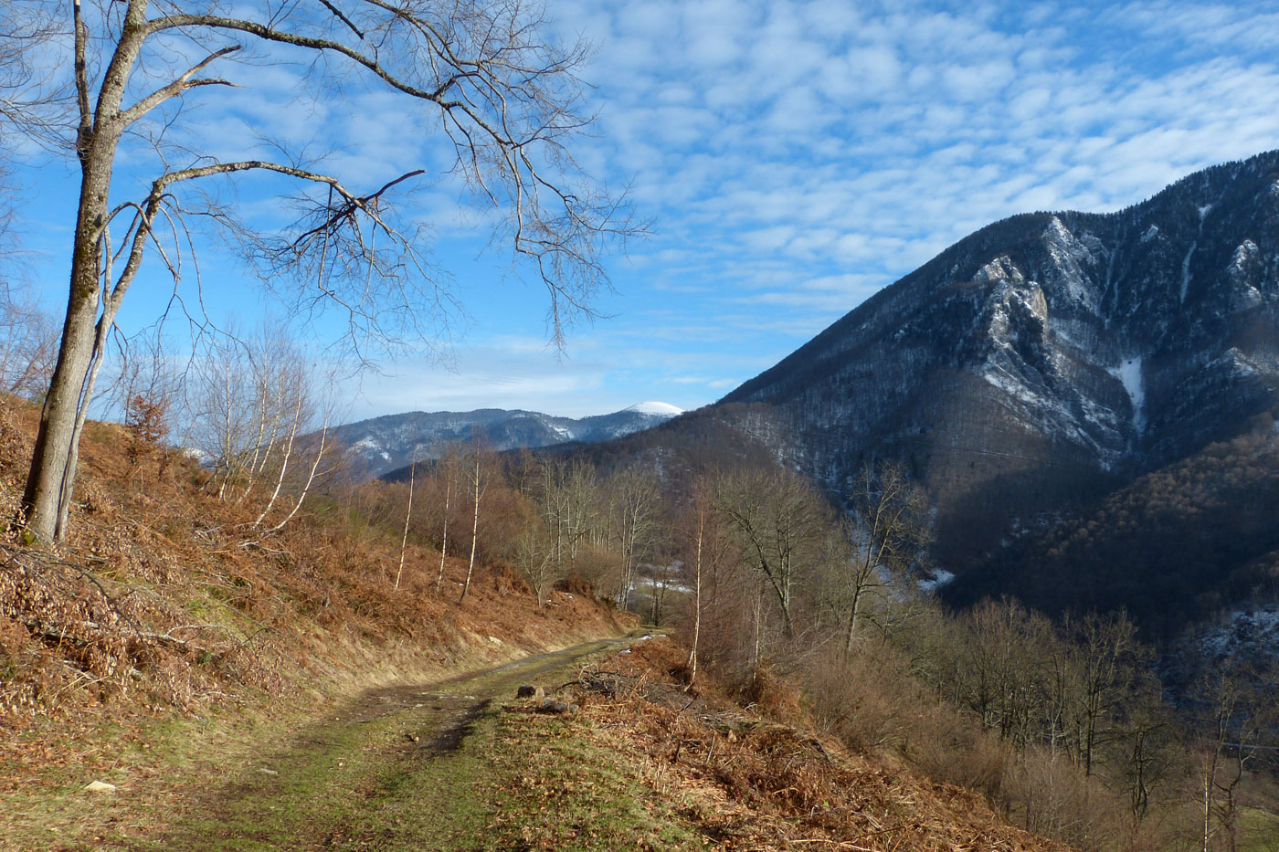 Randonnées et photos dans les Pyrénées: Pic de Douly 1630 m