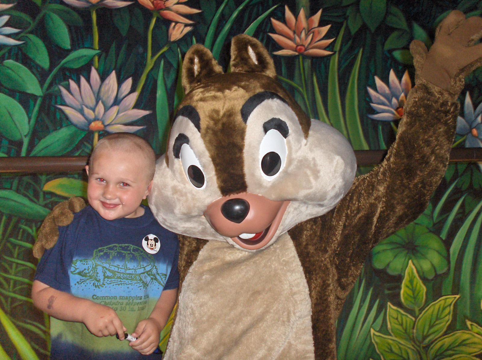 Funny Chipmunk pics ~ unique animal wallpapers