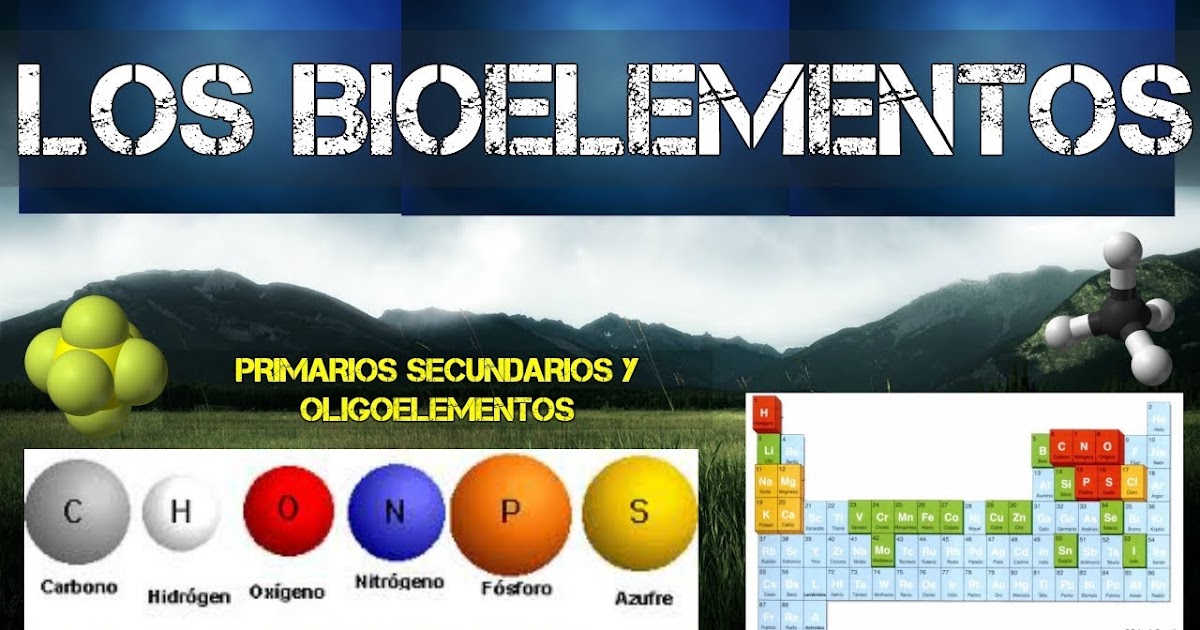 Mi primer artículo: CLASIFICACIÓN DE LOS BIOELEMENTOS ORGÁNICOS