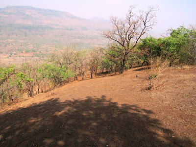 The WildWanderer: Trek to Songiri/ Palasdhari Fort