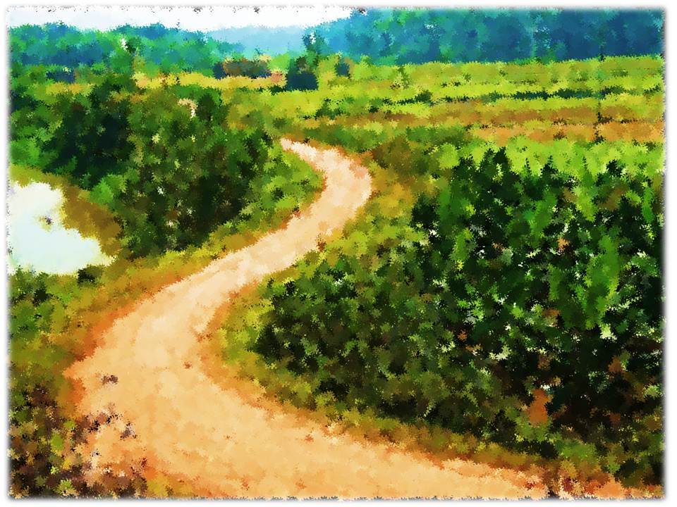 Leadership Village YLP: Anil Emage - A Photo Poem