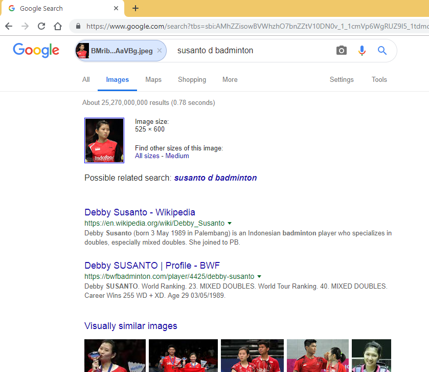 Cara Melakukan Pencarian Informasi Gambar Menggunakan Google