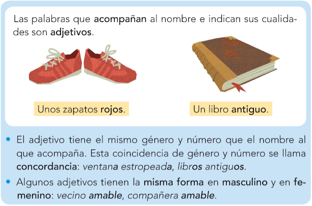Las TIC en Primaria: EL ADJETIVO: LA CONCORDANCIA