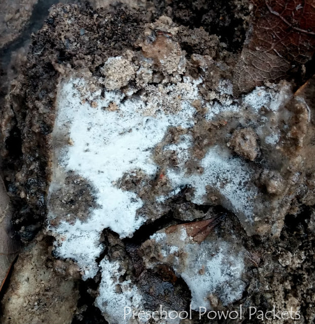 Dry Ice Volcano STEM Challenges and Science Experiment | Preschool ...